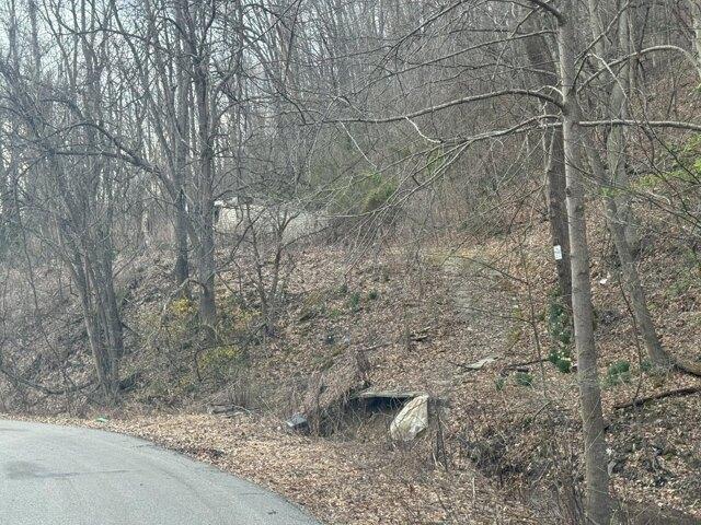 Adrian Rd, Charleston, Plot For Sale