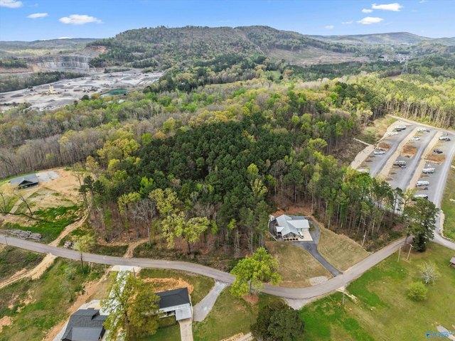 Adventure Rd Lot 19, Guntersville, AL 35976