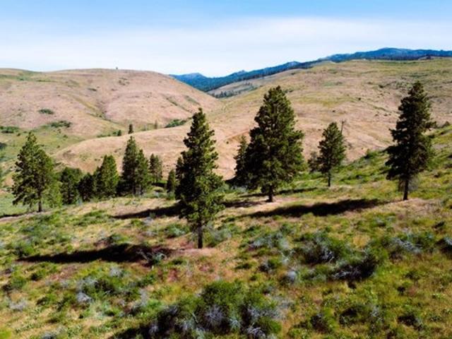 Advent Gulch Rd, Cambridge, ID 83610