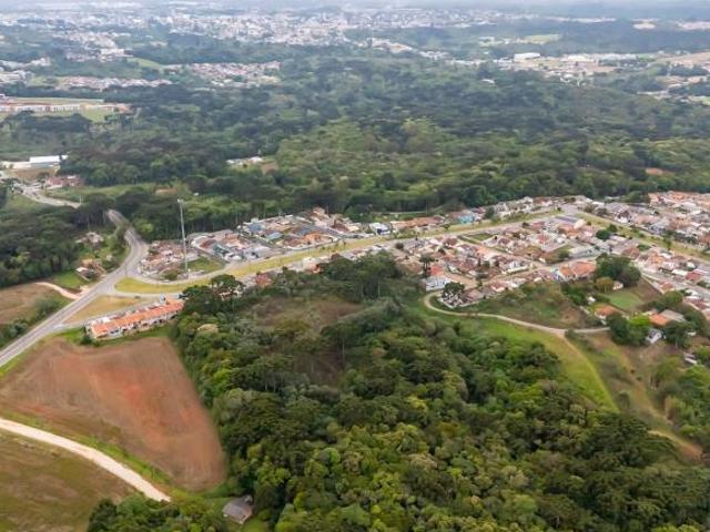 ÁEREA EM CAMPO LARGO 51.933,67M²