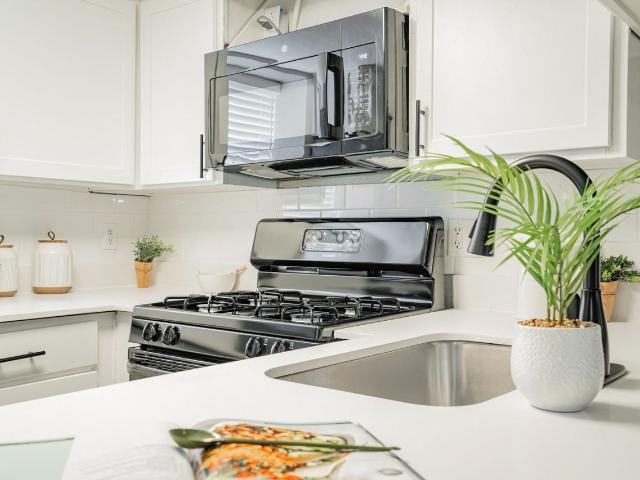 Aero White Rock 2 Bedroom Apartment for Rent at 9857 Audelia Rd, Dallas, TX 75238 Lake Highlands