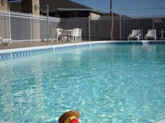 Affordable Luxury @ Palm Village! Springfield map