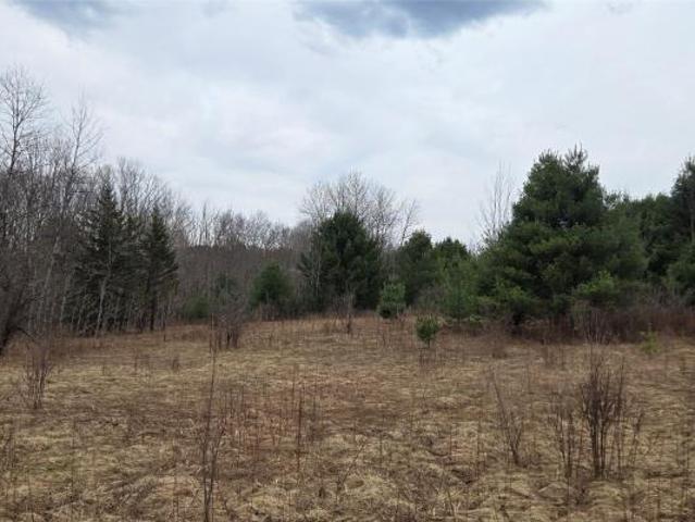 Afton NY 13730 101252167