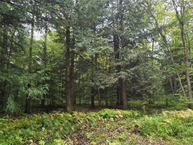 Afton NY 13730 LS101252164