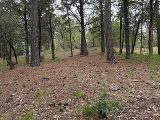 Aka Ct Lot 290, Bastrop, TX 78602