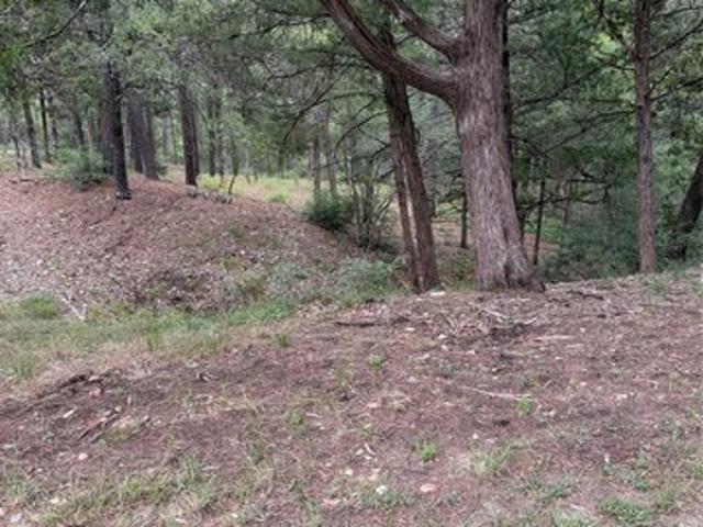 Aka Ct Lot 292, Bastrop, TX 78602