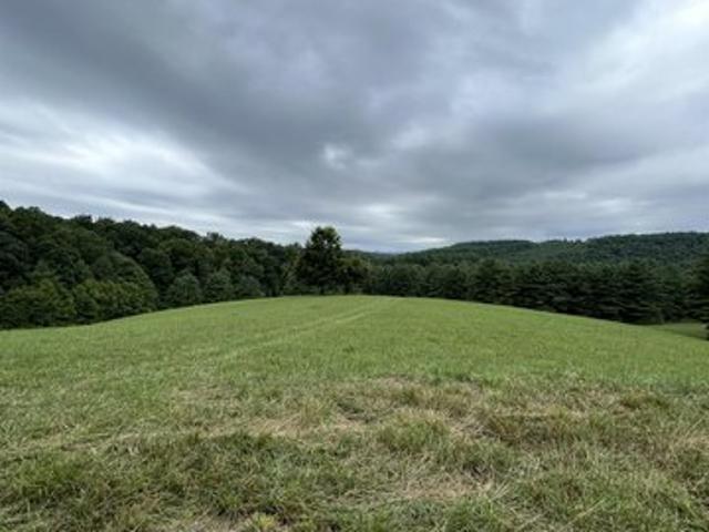 Akers Rd, Willis, VA 24380