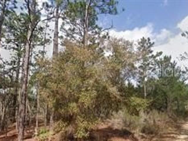 Akron St, Interlachen, FL 32148