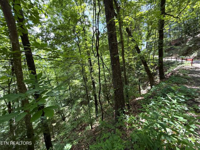 Aintree Drive, Sevierville, TN 37876