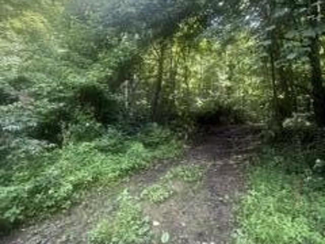 Ailor Dr # Off, Maynardville, TN 37807