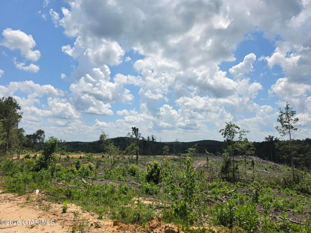 Airy Road, Reform, MS 39735