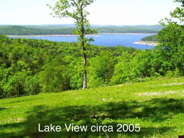 Air Park Dr Lots 32H & 34J, Yellville, AR 72687