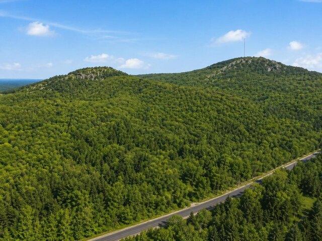 Airline Rd, Clifton, Plot For Sale