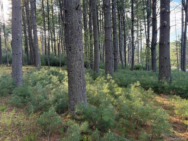 Airport Rd, Eldred, NY 12732