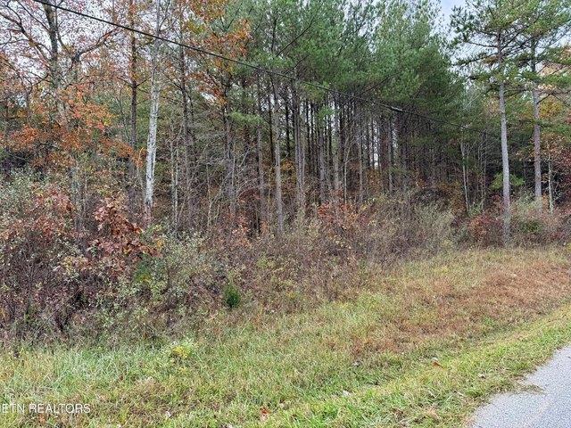 Airport Rd Lot 5, Rockwood, TN 37854