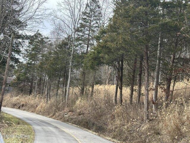 Aj Osborne Hwy, Blackwater, Plot For Sale