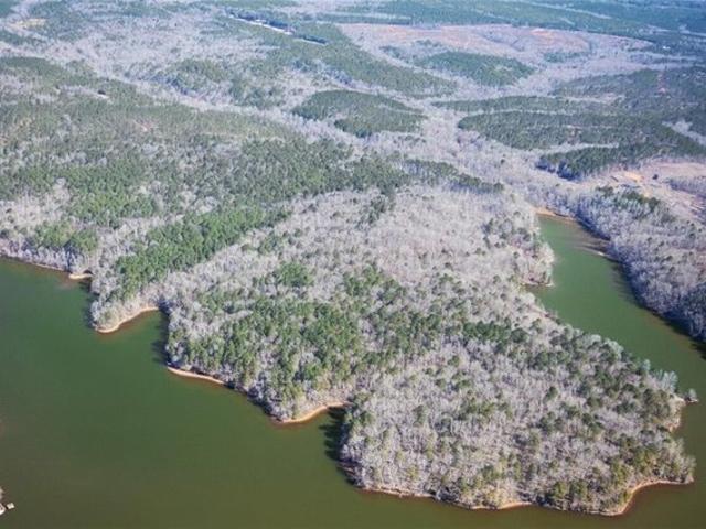 AL 49 Hwy, Dadeville, AL 36853
