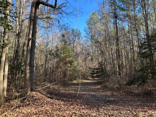 AL 86, Carrollton, AL 35447