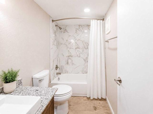 Alma Apartments Studio Apartment for Rent at 9220 N Interstate 35, Austin, TX 78753 Georgian Acres
