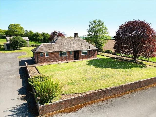 Almer, Blandford Forum, Dorset DT11, 2 bed detached bungalow to rent, £1,600 pcm | PrimeLocation