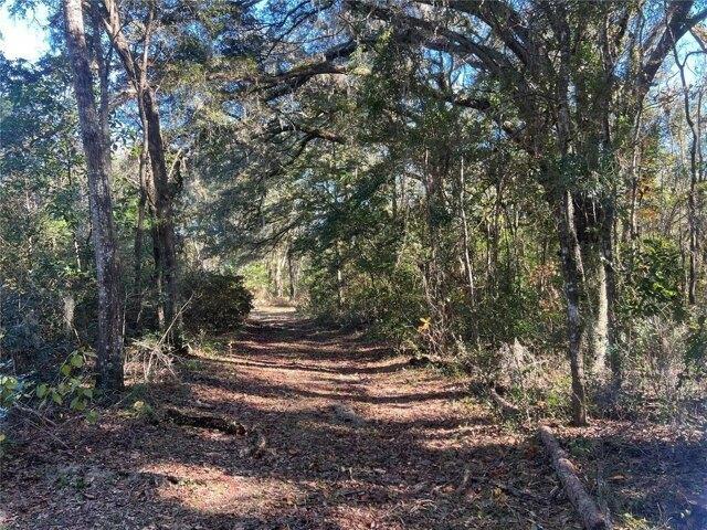 Alachua FL 32615 LS90614134
