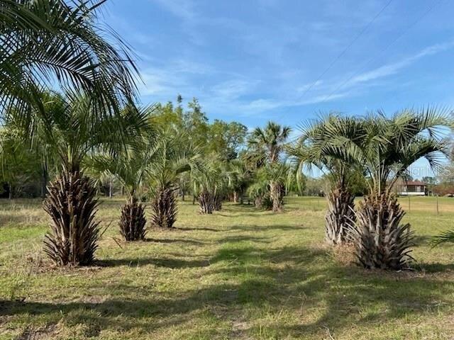 Alachua FL 32615 89552197