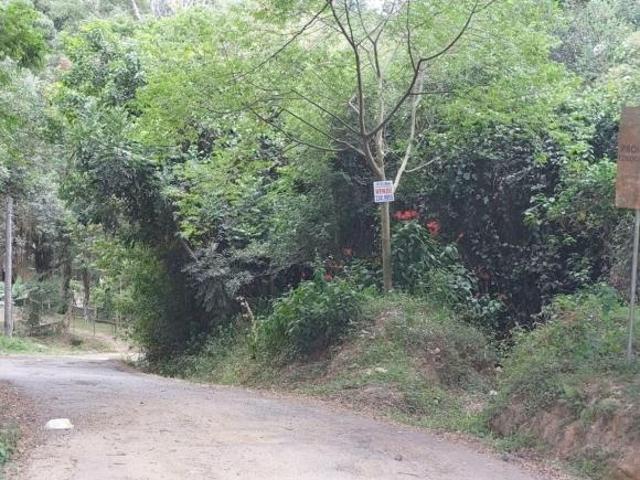 ALAMEDA BOQUERÃO JUNTO AFONSO L. MARIANTE TERRENO 400,00 M2