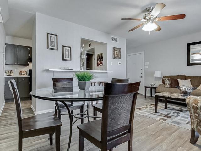 Alamo Estates 1 Bedroom Apartment for Rent at 8000 Midcrown Dr, San Antonio, TX 78218