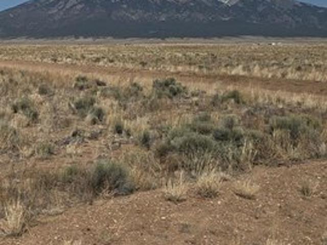 Alamosa Ave Lot 7, Blanca, CO 81123