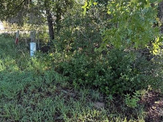 Alaska Ave, Interlachen, FL 32148