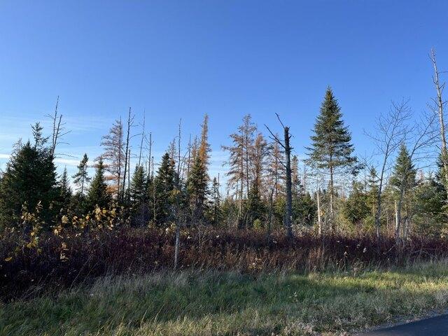 Albair Rd, Caribou, Plot For Sale
