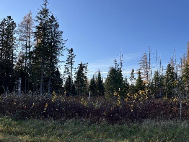 Albair Rd, Caribou, Plot For Sale