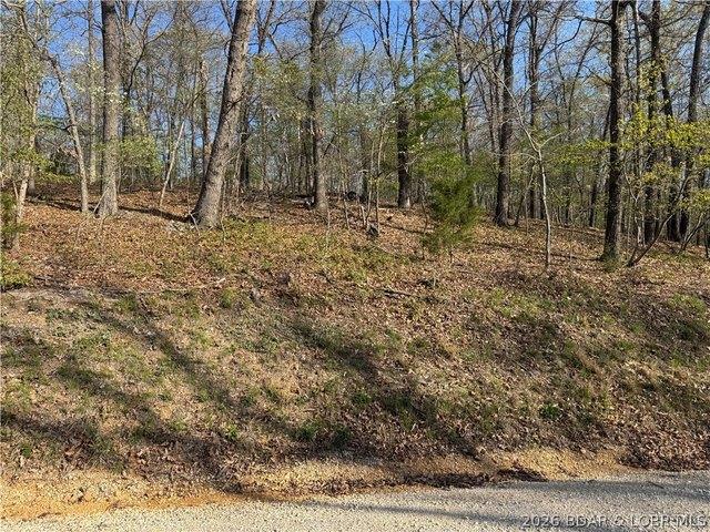 Albany Dr Lot 166, Lake Ozark, MO 65049