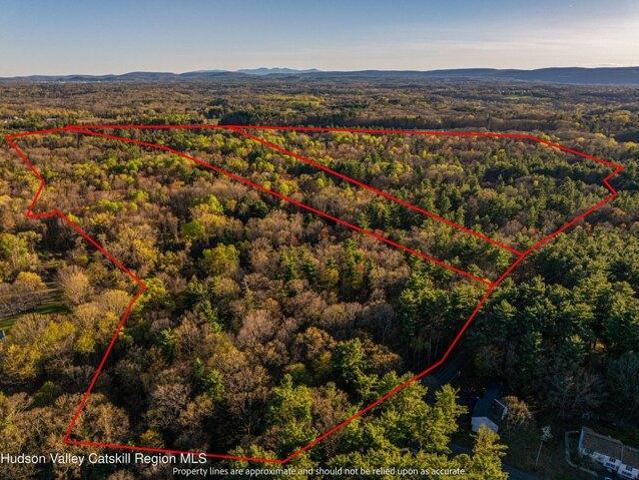 Albany NY 12203 104905019