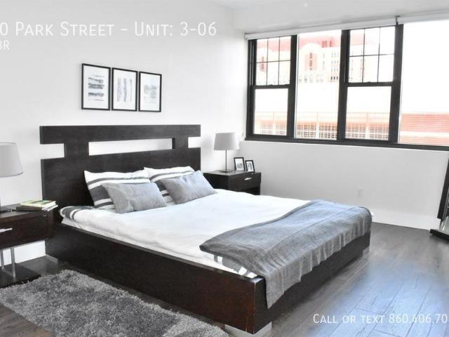 Albany NY 12207 LS75513423