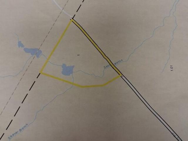 Albany Rd, Eden, Plot For Sale