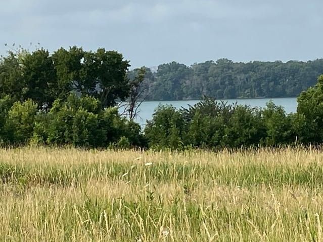 Albert Lea, MN 56007