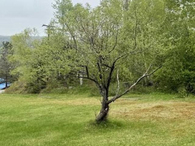 Albert St, Madawaska, Plot For Sale