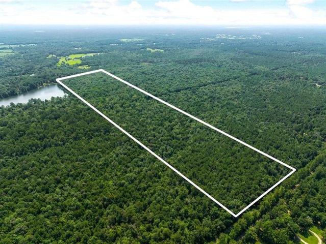 Albert Thompson Rd, Folsom, LA 70437