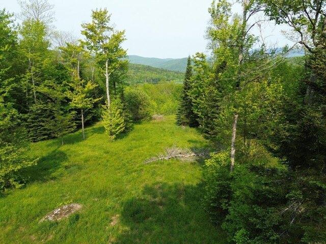 Alberts Ln, Warren, Plot For Sale