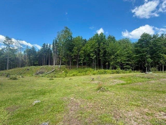 Albion Cross Rd, Pulaski, Plot For Sale