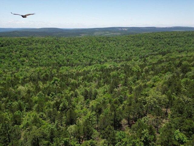 Albion OK 74571 93869633