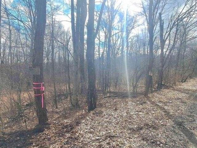 Albright WV 26519 104901410