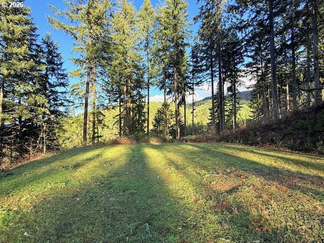 Alder Branch RD