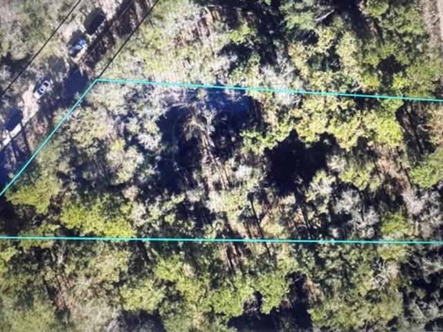 Alderman Rd, Hahira, GA 31632