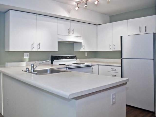 Alderview 300 11th Ave 1 Bedroom Apartment for Rent at 300 11th Ave, Seattle, WA 98122 First Hill