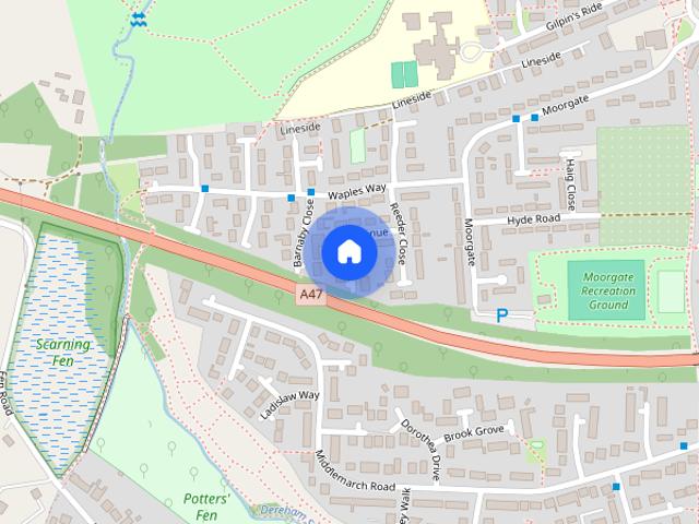 Aldiss Avenue, Dereham, NR19