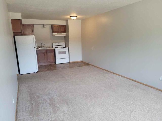 Aldrich Apartments | Near I 1 Bedroom Apartment for Rent at 801 21st Ave N, Minneapolis, MN 55411 Hawthorne
