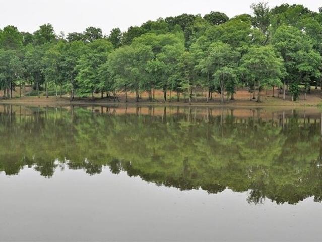 Aldrich Dr, Cumming, Plot For Sale