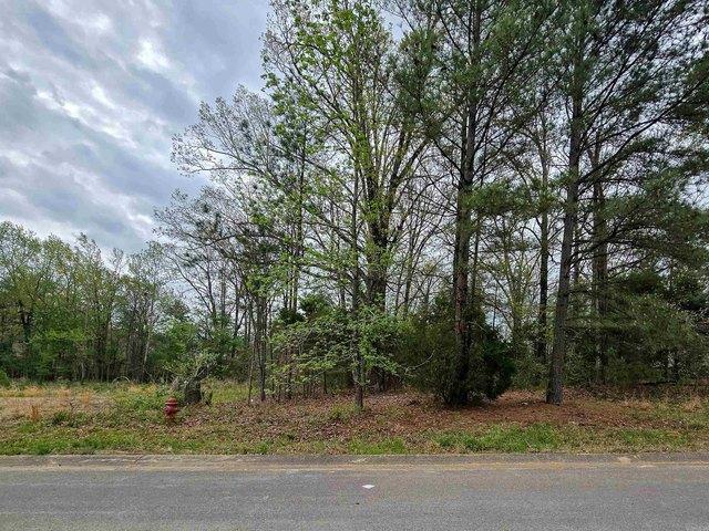Alex Blck B Dr Lot 3, Jonesboro, AR 72401